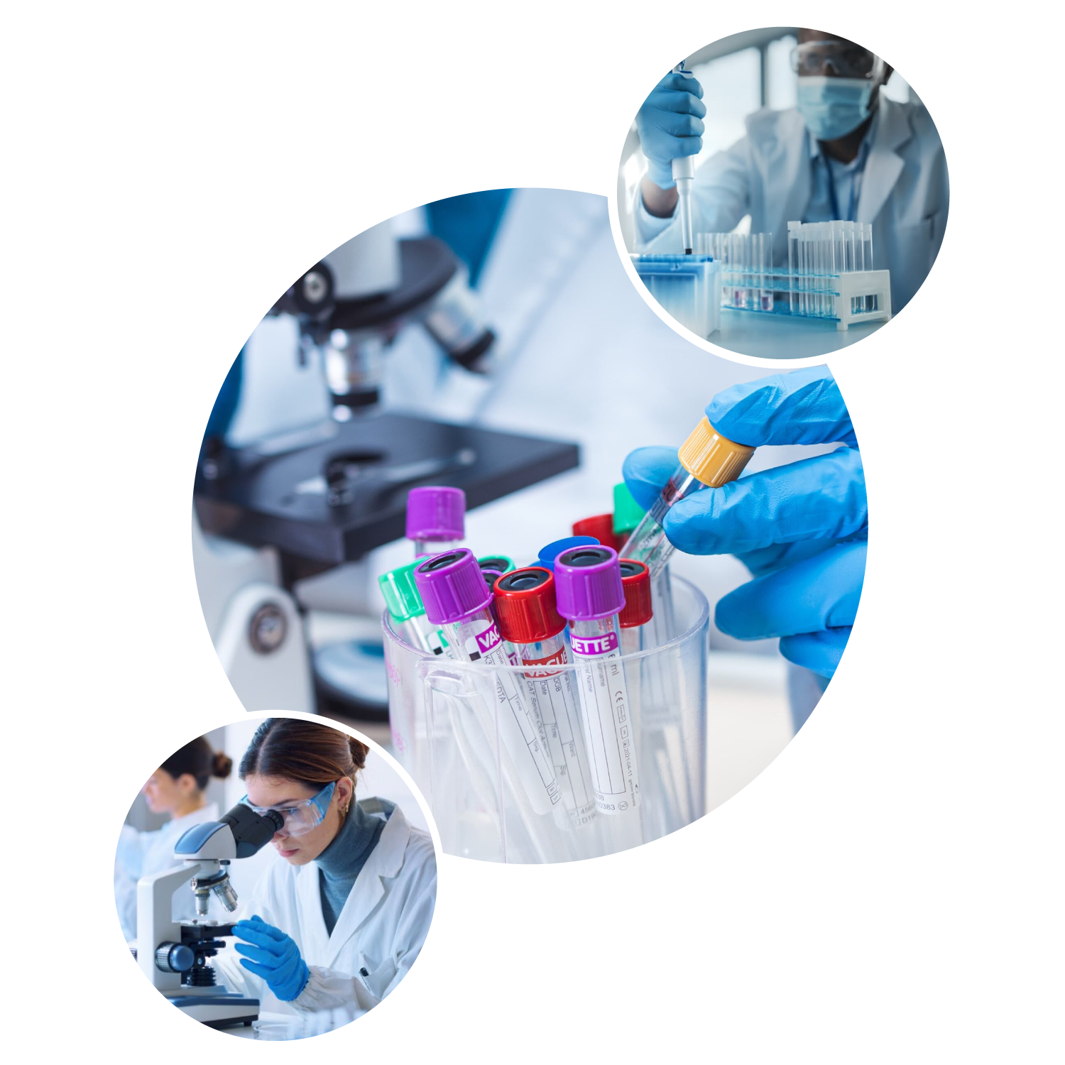 InnovaGen: Laboratorio Clínico, Biología Molecular y Genética - InnovaGen